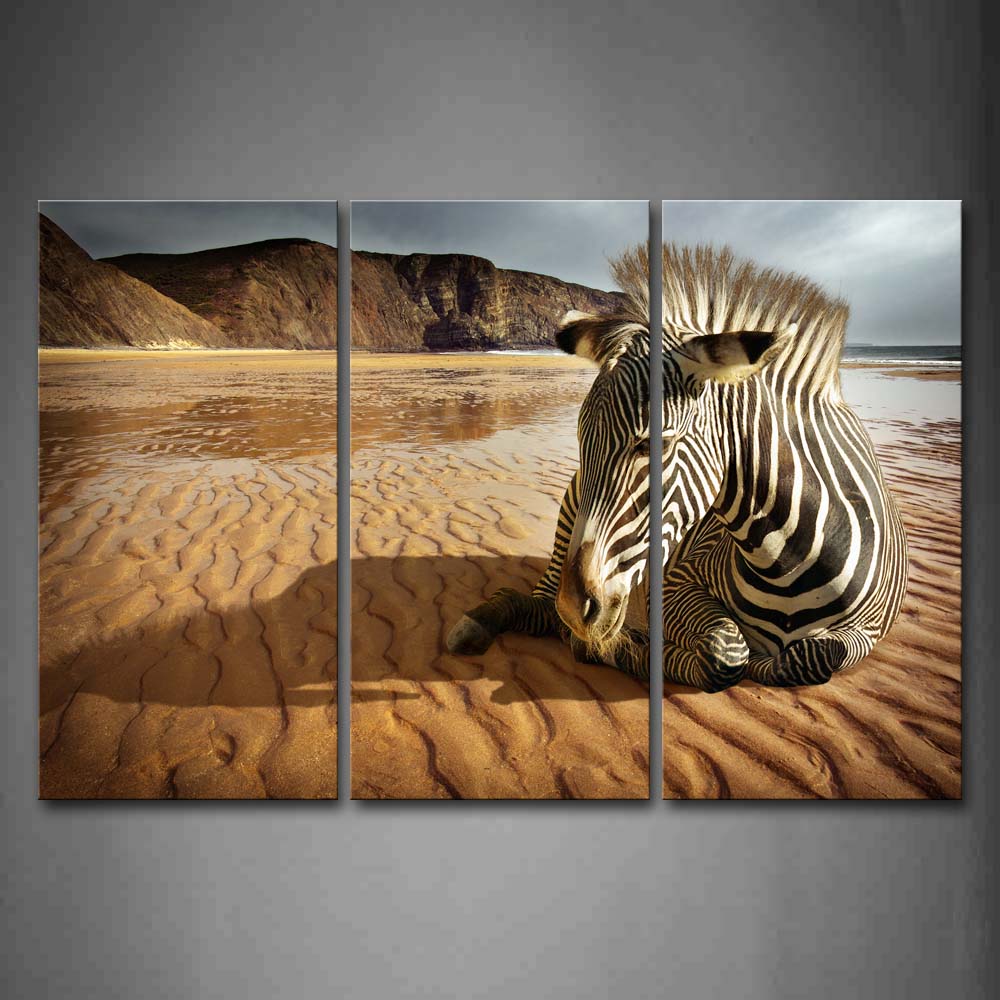 Zebra Sit On Beach Sand Mountain Wall Art Painting Pictures Print On C ...